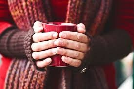 ¿Que es Te Rojo? - Teacup La Tienda del Té